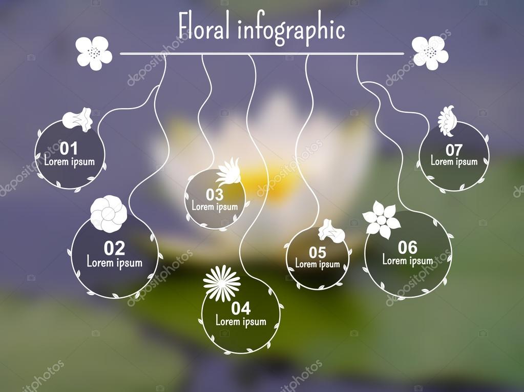 Floral diagram elements Stock Vector by ©Irina_Oksenoyd 65094561