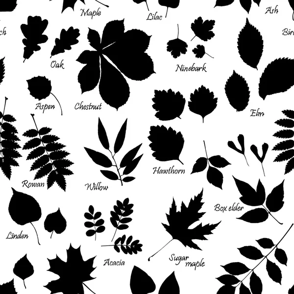 Leaf Pattern Names - Infoupdate.org