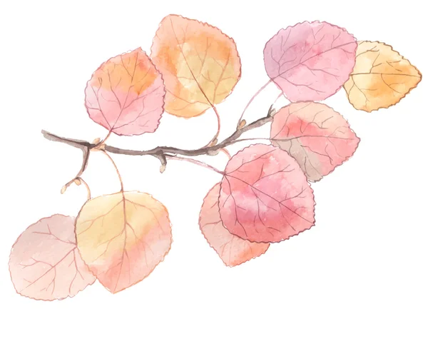 Aspen tree Vector Art Stock Images | Depositphotos