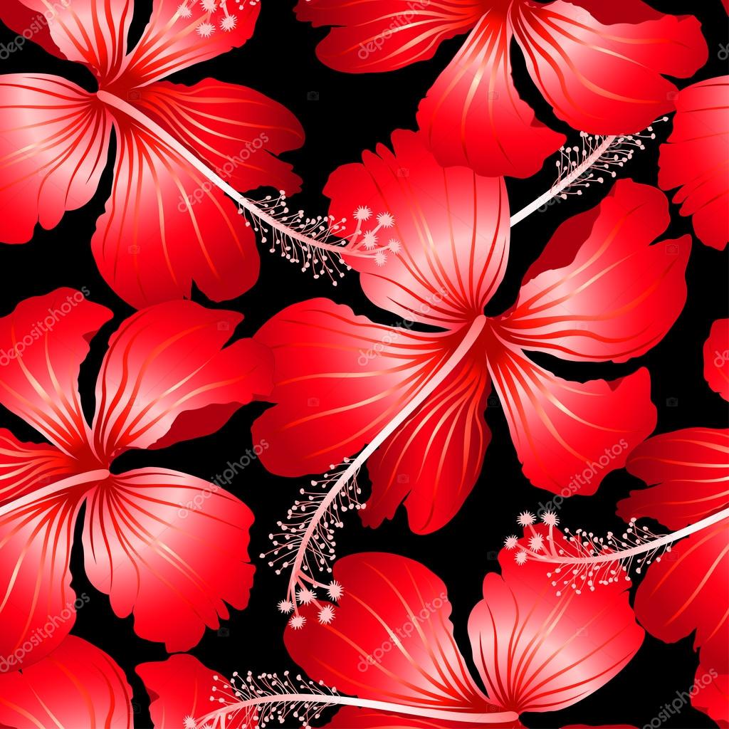 Red tropical hibiscus flowers with black background seamless pat Stock ...