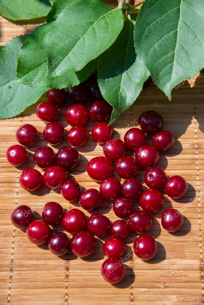 Las bayas rojas de cereza y las hojas verdes sobre la servilleta de ...