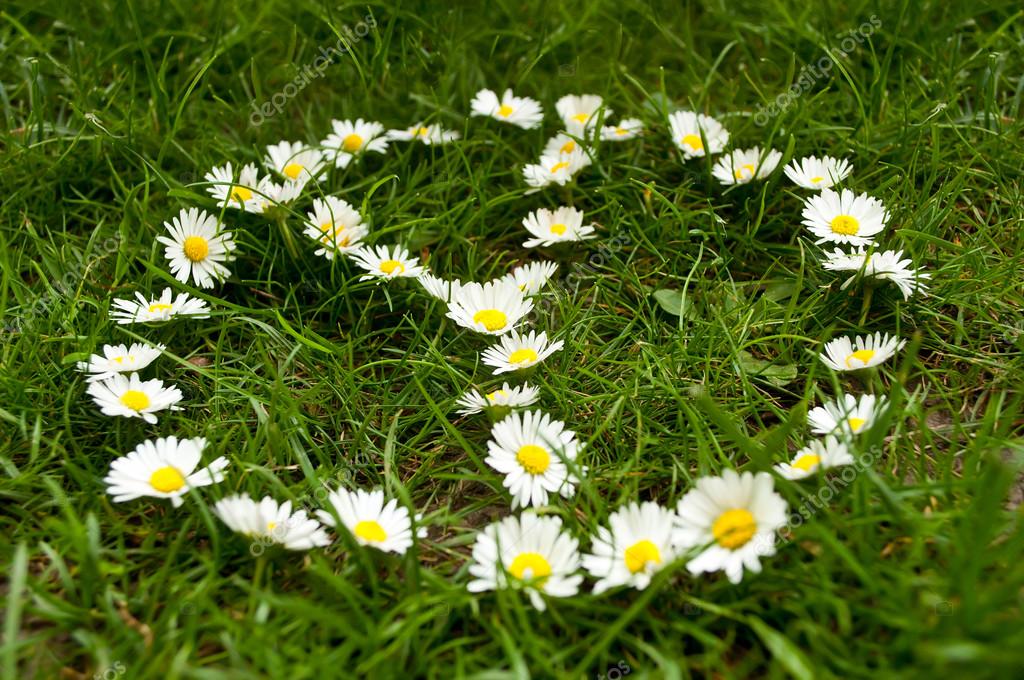 Peace symbol with daisies in the grass — Stock Photo © NeydtStock #72431571
