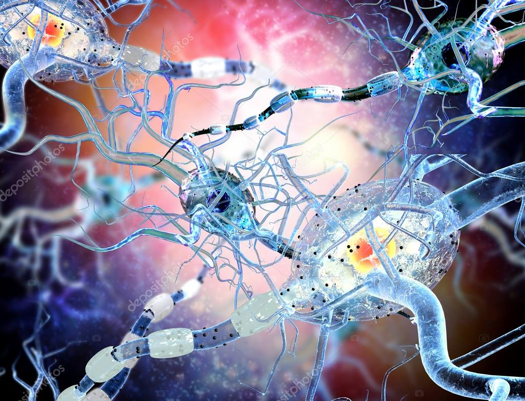 Nerve cells, concept for Neurological Diseases, tumors and brain ...