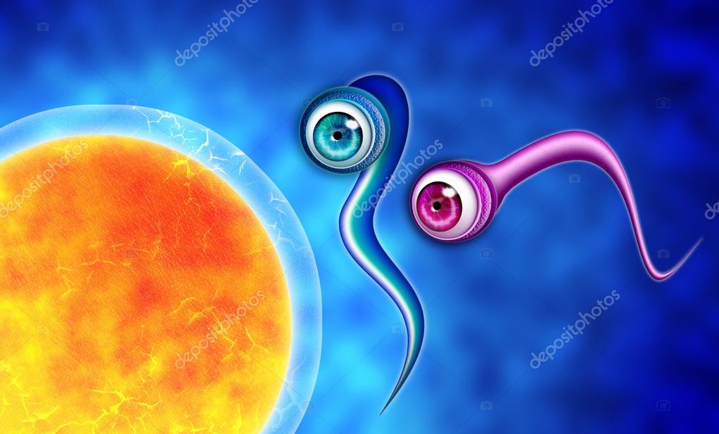 Fecundation moment — Stock Photo © ralwel #53439485