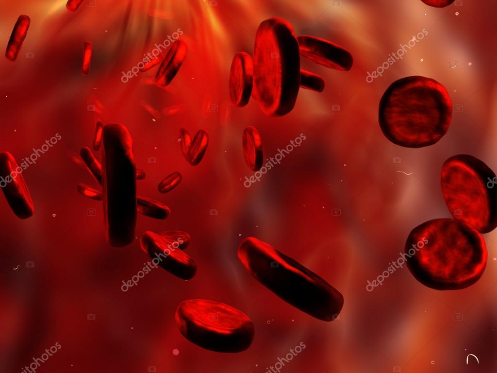 Red blood cells. — Stock Photo © ralwel #53441433