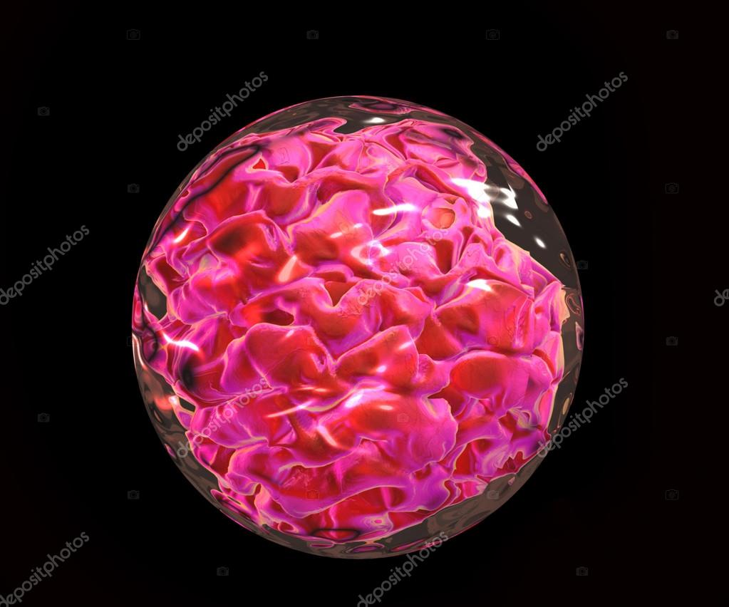 Embryo cleavage — Stock Photo © ralwel #53441521