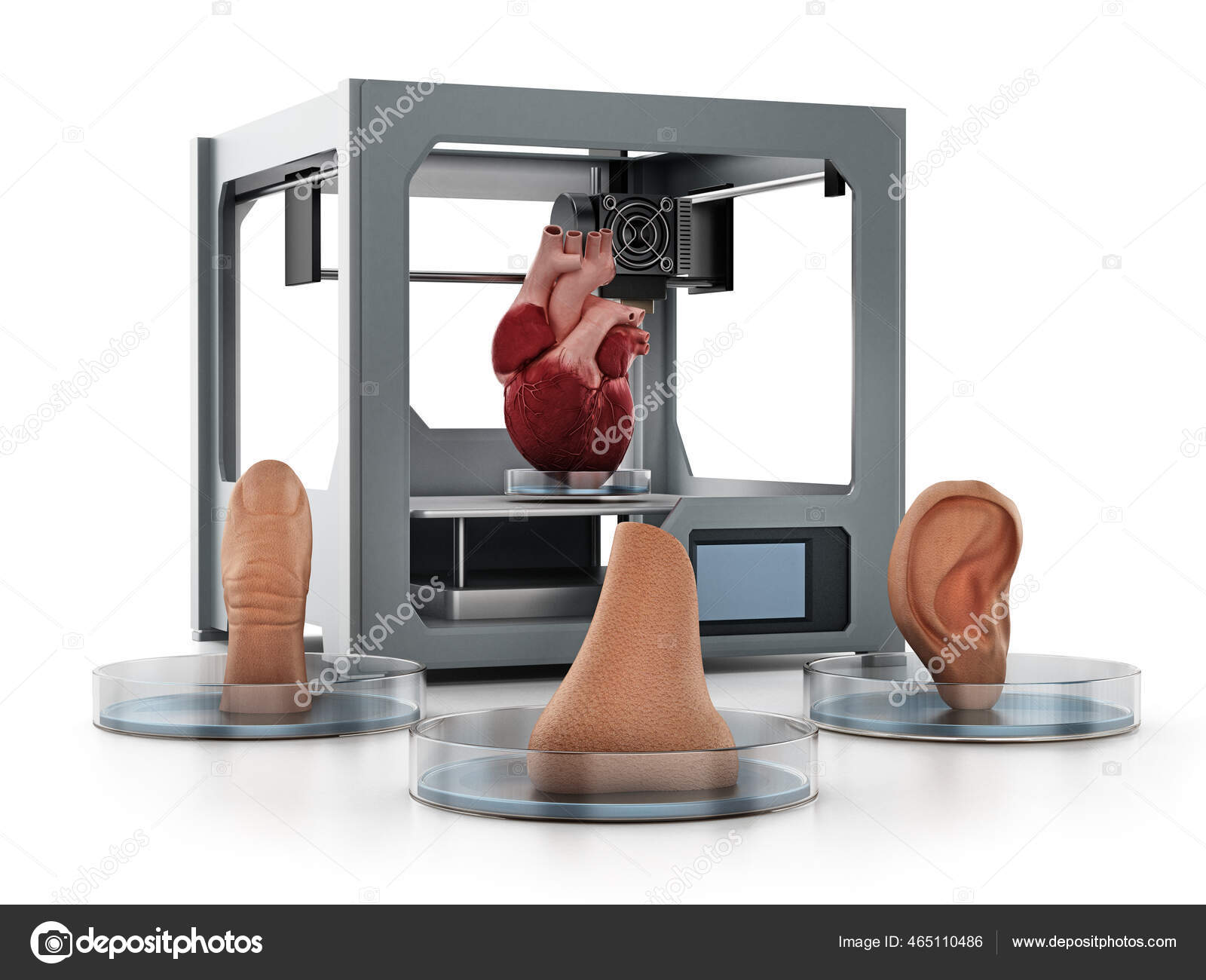 Medical Printer Printed Human Organs Isolated White Background ...