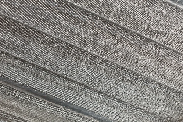 Silver foil insulation on ceiling roof house — Stock Photo © Sutichak ...