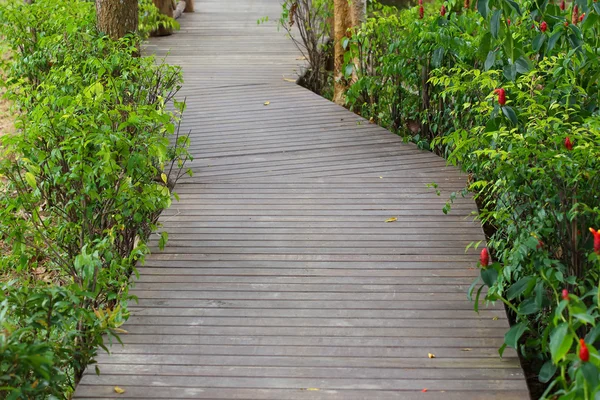 Wooden walkway Images - Search Images on Everypixel