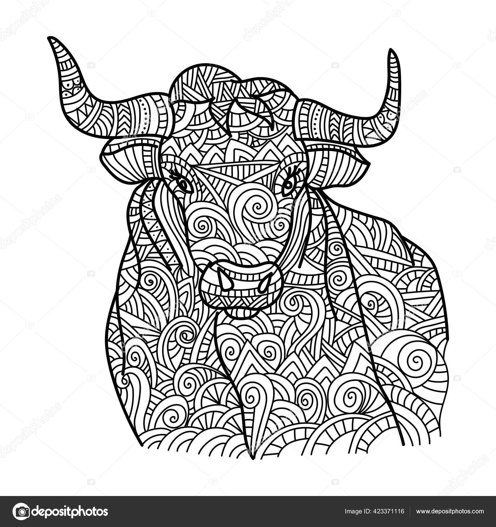 Contorno De Cráneo De Toro Dibujo De Cabeza De Toro PNG Imágenes Y