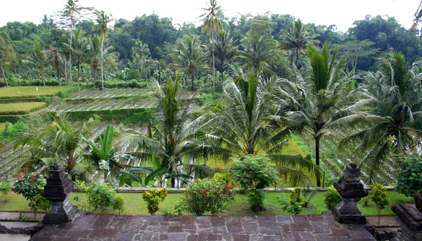 Bali plantation Stock Photos, Royalty Free Bali plantation Images ...