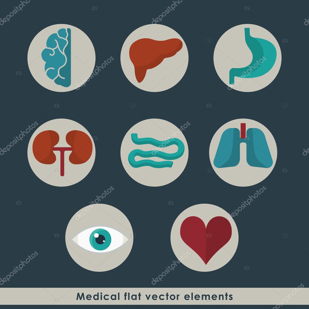 Salud y concepto m dico. Iconos de rganos humanos conjunto plano 2024