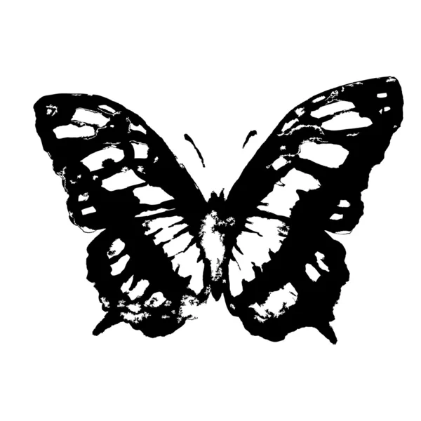 Flying Black Butterflies Form Big Butterfly Isolated White Background ...