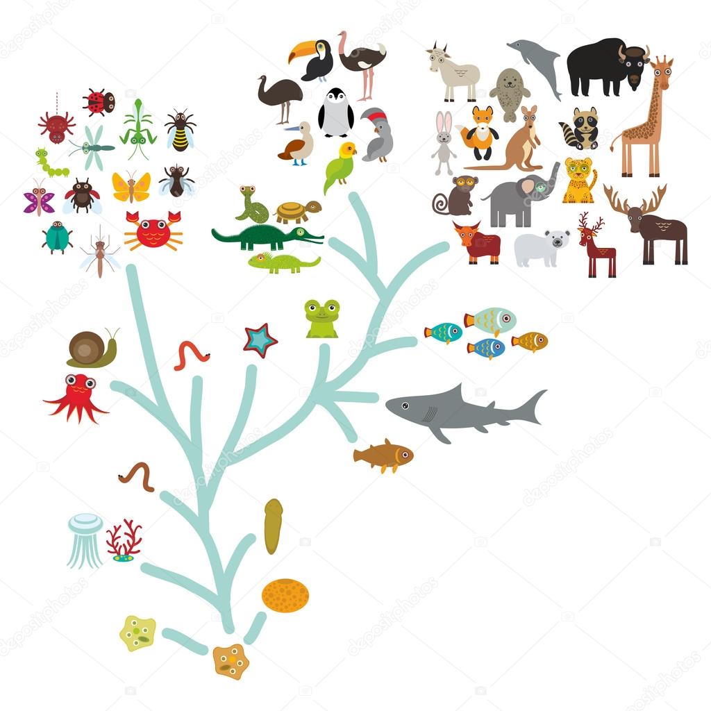Evolución en biología, esquema de evolución de animales aislados sobre ...