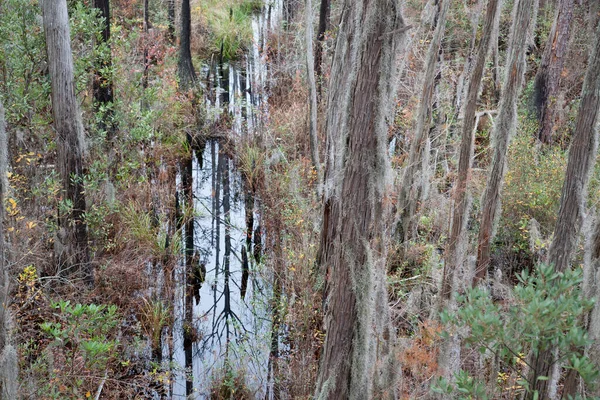 Bayou plantation Stock Photos, Royalty Free Bayou plantation Images ...