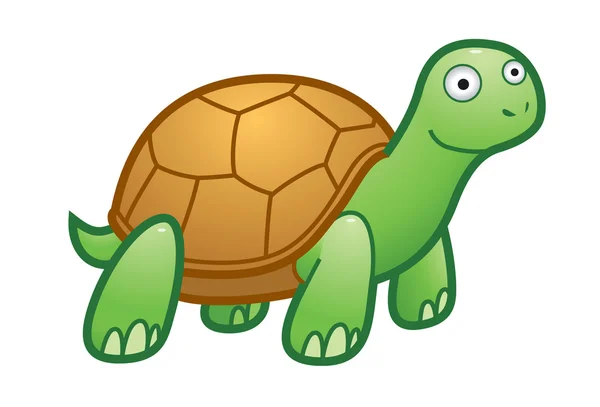 Turtle cartoon — Stock Vector © Volchonok #6038085