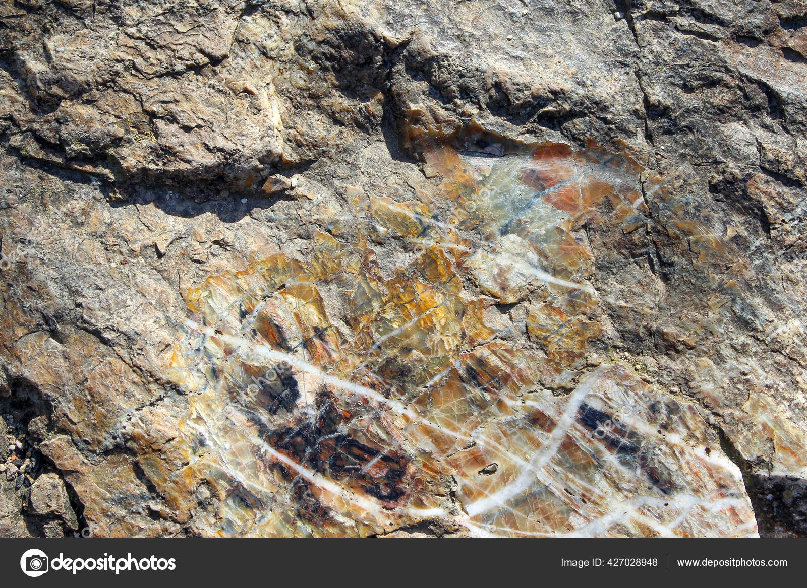 Chert Sedimentary Rock