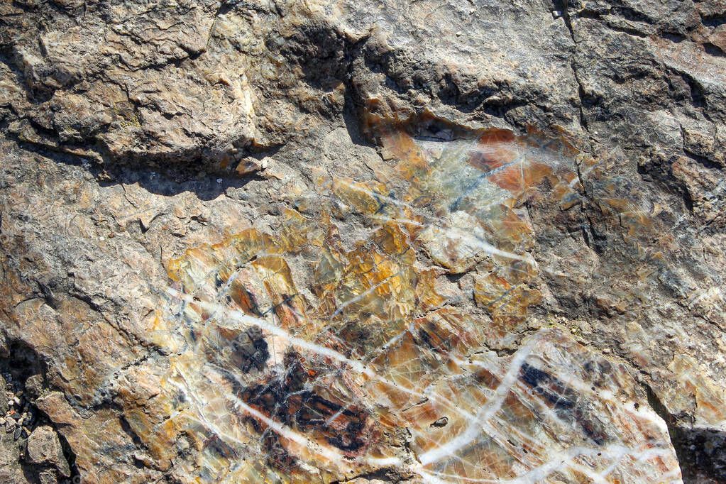 Textura de una roca sedimentaria chert 2022