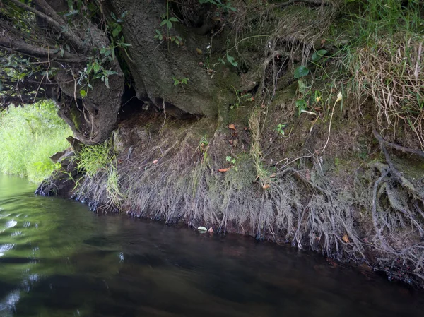 162 Stream bank erosion Stock Photos | Free & Royalty-free Stream bank ...
