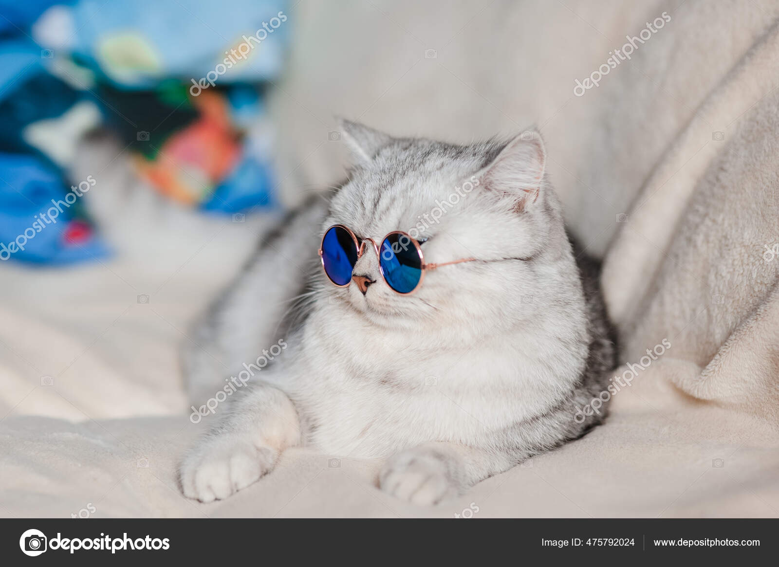 Funny Cat Cat Glasses — Stock Photo © sharshonm #475792024
