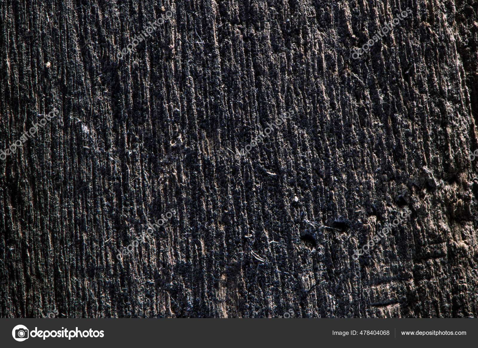 Different Wood Texture Oak Pine Ash — Stock Photo © sharshonm #478404068
