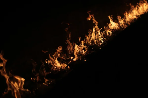 Fire line Images - Search Images on Everypixel