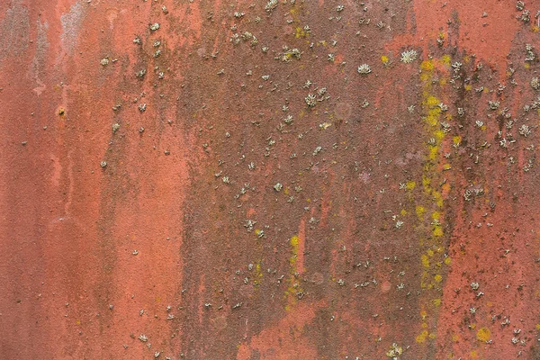 Rusty Red Corrugated Iron Sheet Stock Photo by ©imagebrokermicrostock ...