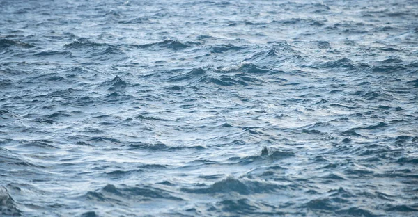 Calm sea water surface texture with splashes and waves. Abstract nature ...