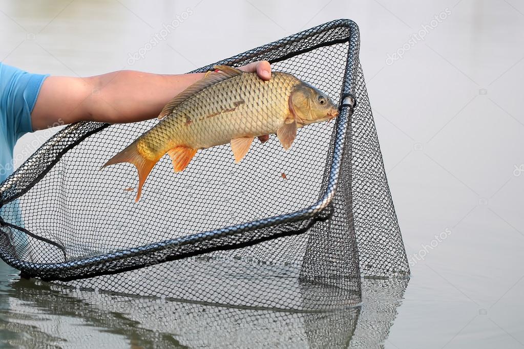 Fish catch and dip net — Stock Photo © Tverdohlib.com #87714198