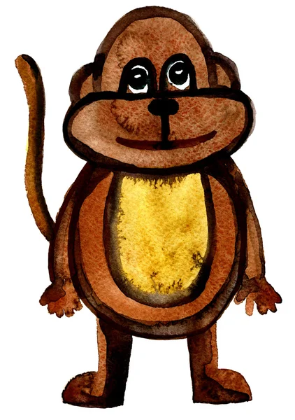 Monkey radiant monkey Stock Photos, Royalty Free Monkey radiant monkey ...