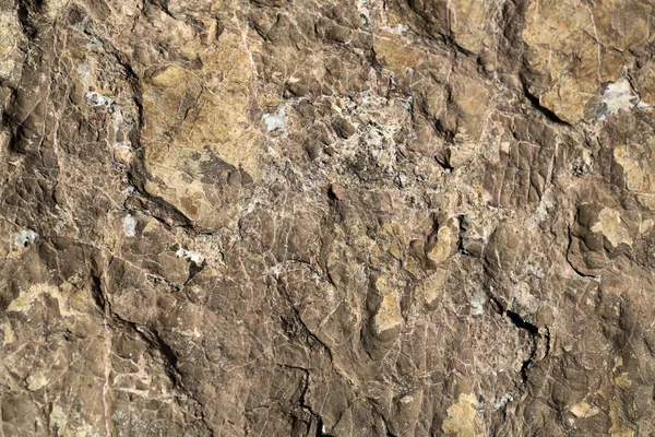 Solid rock Stock Photos, Royalty Free Solid rock Images | Depositphotos