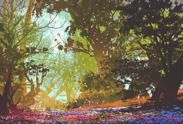 Colorful forest with trees and flowers in spring at sunset — Stock ...