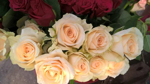 Flores para mama Stock Photos, Royalty Free Flores para mama Images ...