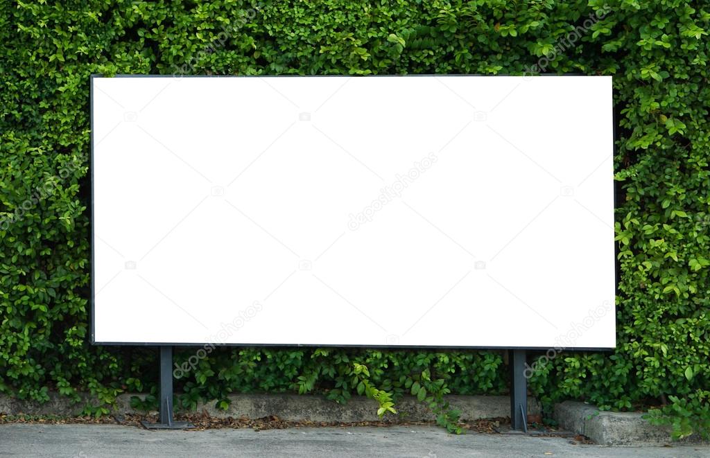 Rice spike and sunlight — Stock Photo © pkproject #113321392