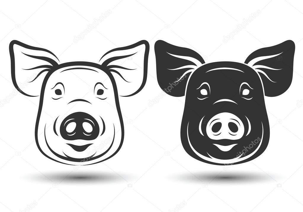 Face Pig vector — Stock Vector © 10comeback #115922500