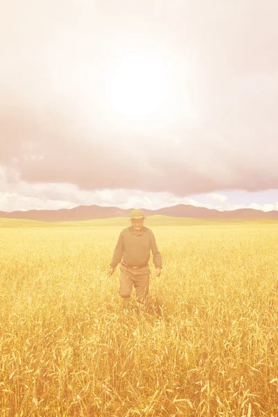 Man standing in field — Stock Photo © Rawpixel #97532328