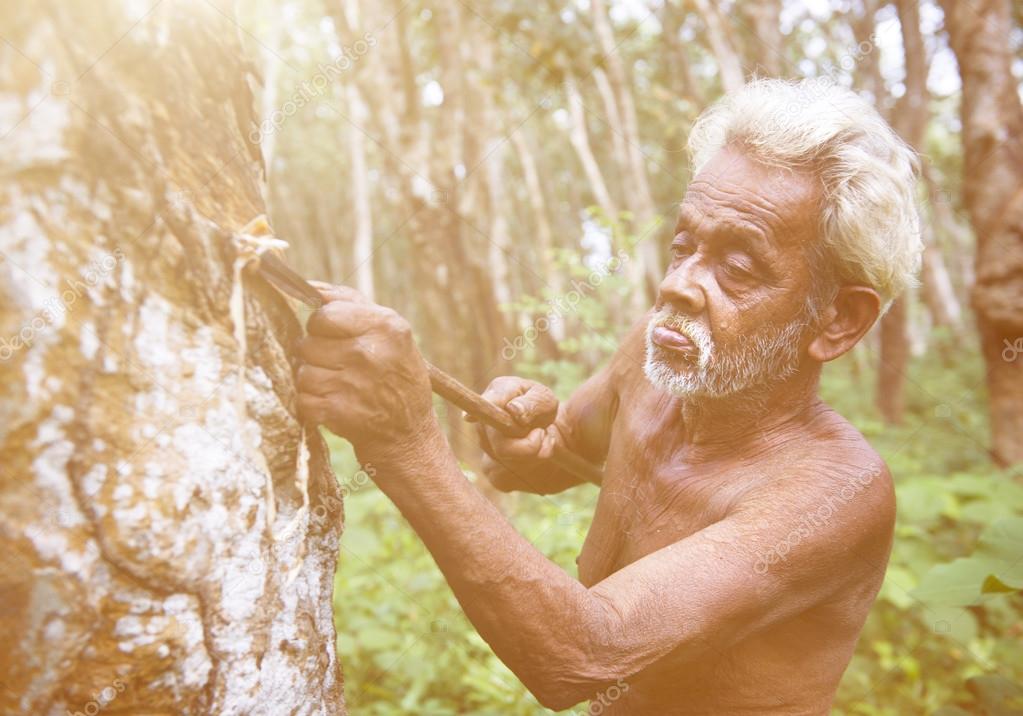 Man Tapping Rubber Tree Stock Photo by ©Rawpixel 109673582