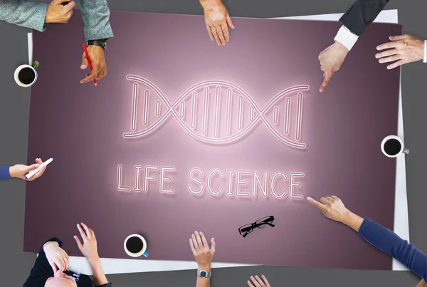 Life science professionals Stock Photos, Royalty Free Life science ...