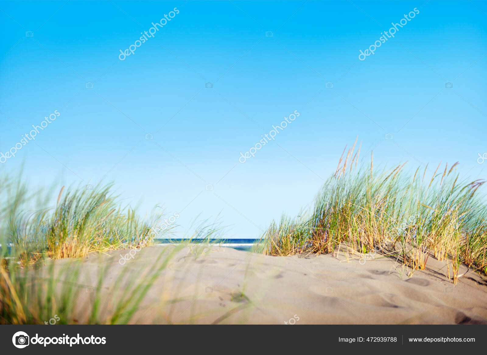 Sand Dunes Grass Beach — Stock Photo © Rawpixel #472939788
