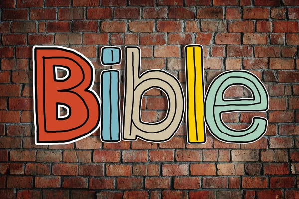 Diverse Hands Holding the Word Bible Stock Illustration by ©Rawpixel ...