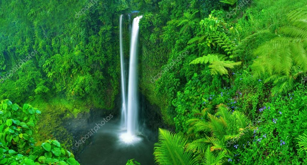Beautiful Waterfall in nature Stock Photo by ©Rawpixel 63127305