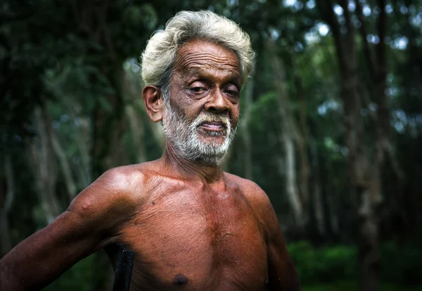 Man tapping rubber Pictures, Man tapping rubber Stock Photos & Images ...