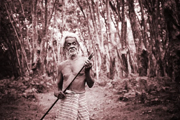 Indigenous pictorial Stock Photos, Royalty Free Indigenous pictorial ...