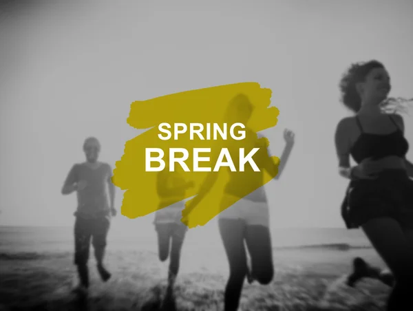 ᐈ Spring break stock pictures, Royalty Free spring break beach pics ...