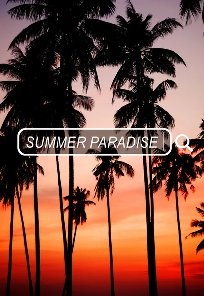 Summer Paradise Tumblr Photography