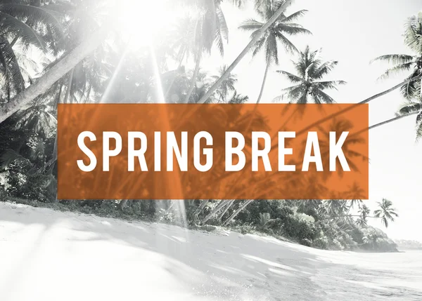 Spring break beach Stock Photos, Royalty Free Spring break beach Images ...