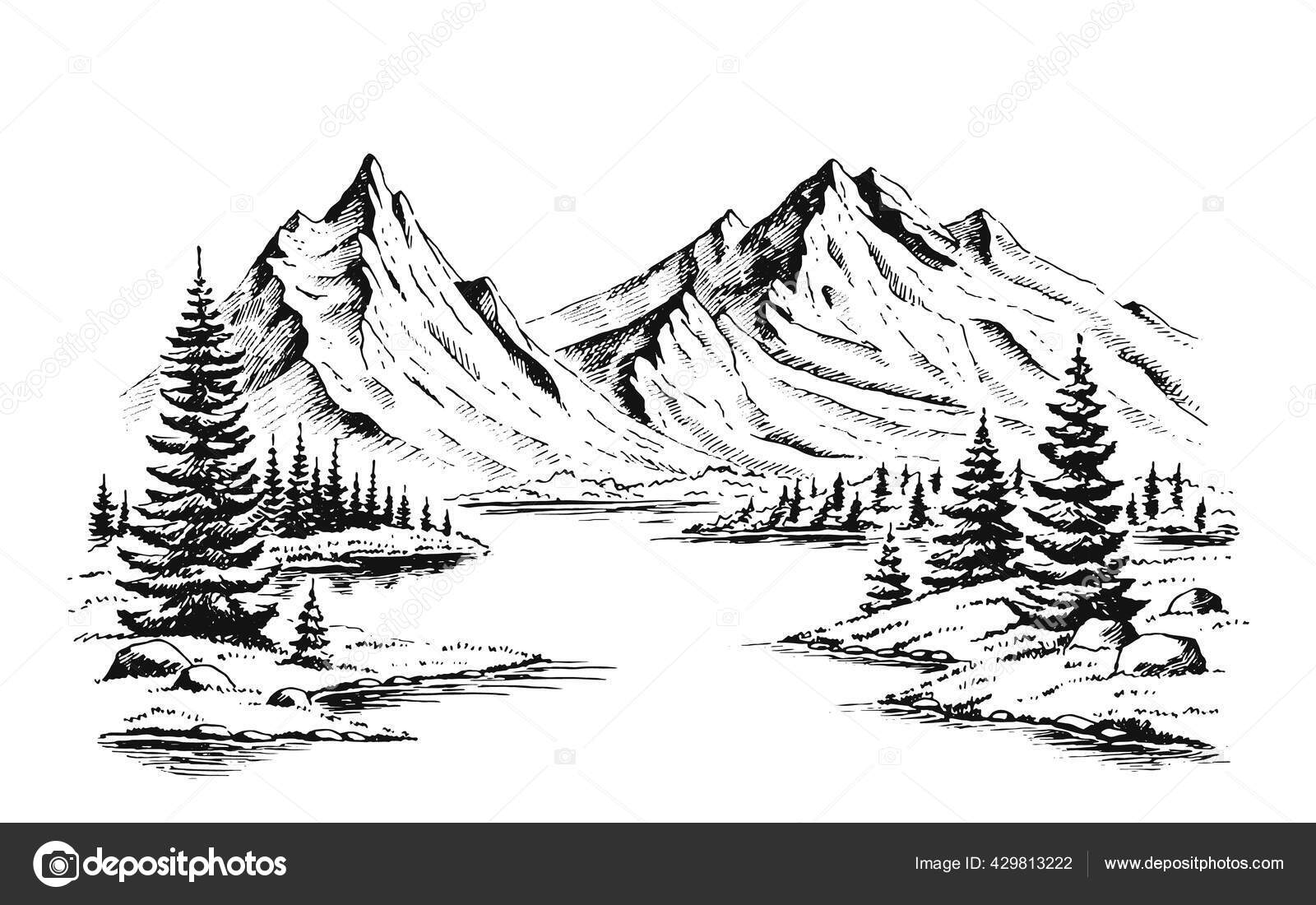 Forest Illustration Black And White
