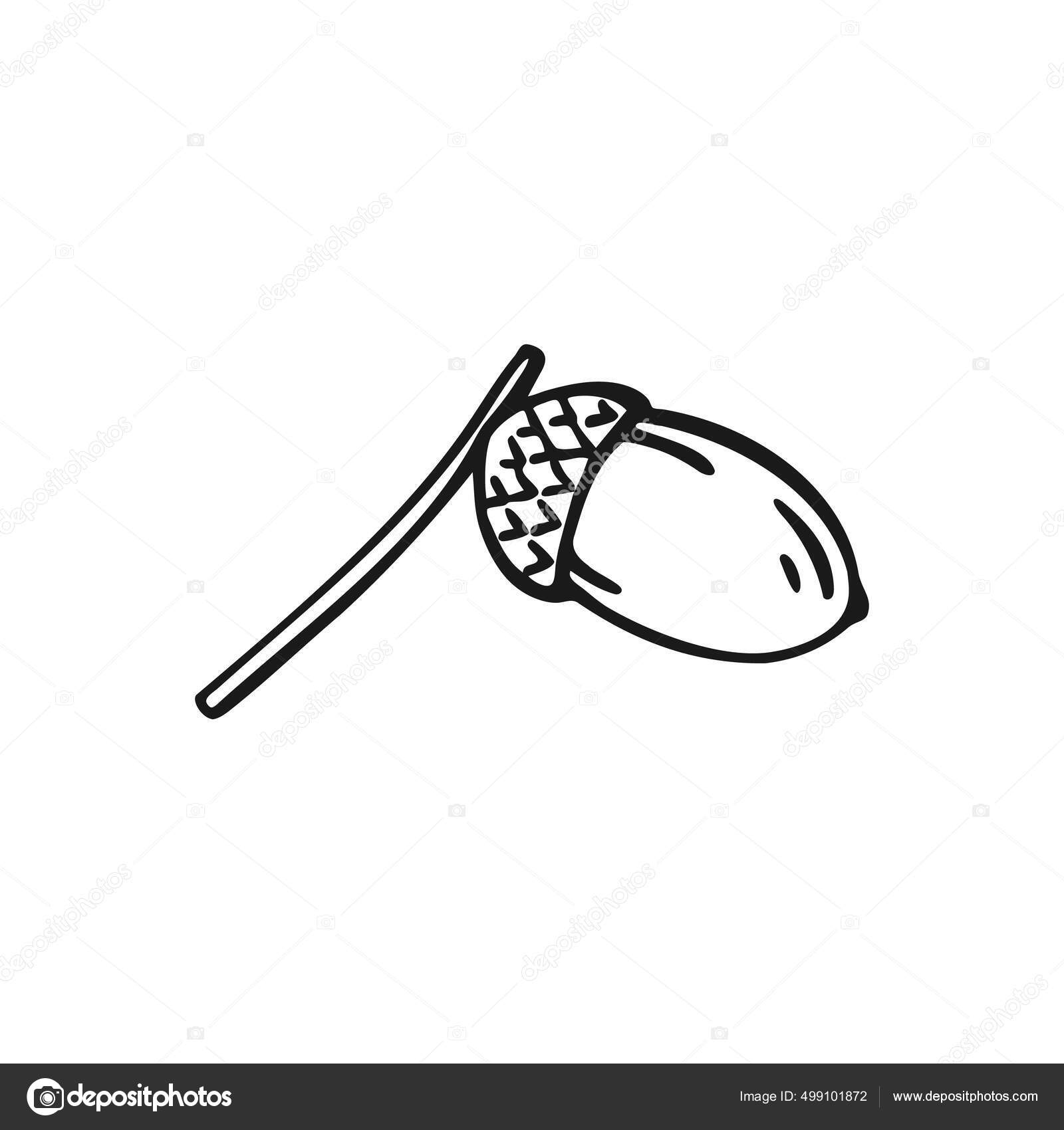 Hand Drawn Acorn Outline Line Art Style Isolated White Background Stock Vector by ...