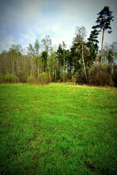 Battleground Stock Photos, Royalty Free Battleground Images | Depositphotos