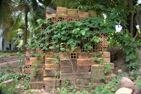 Modelo de aldeia Stock Photos, Royalty Free Modelo de aldeia Images ...